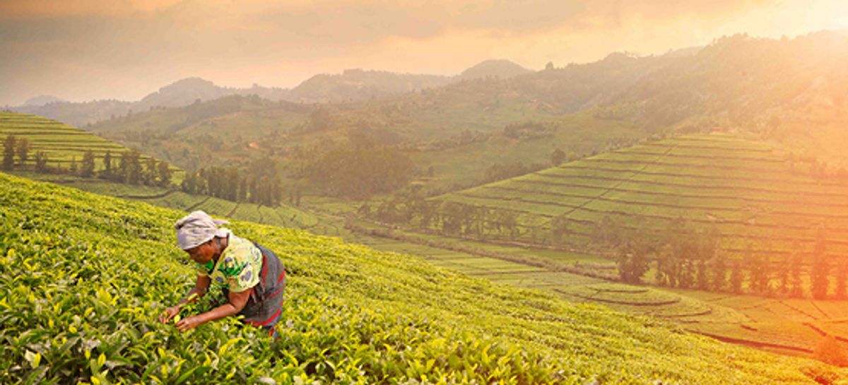 Legislation for mandatory supply and value chain due diligence gaining ...