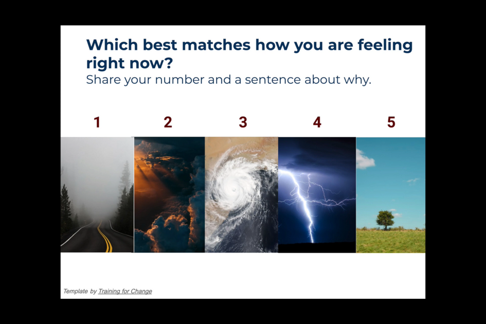 The "human spectrogram" of perceptions, Bev Matthews RN MSc