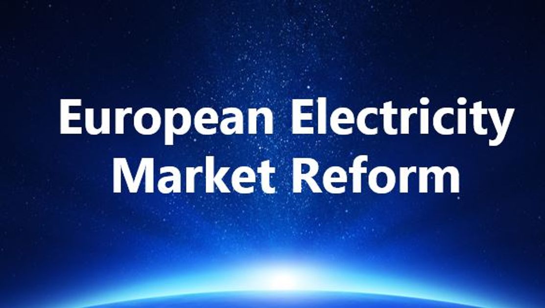 European Electricity Market Reform, Ulrich Scholz, Pascal Cuche ...