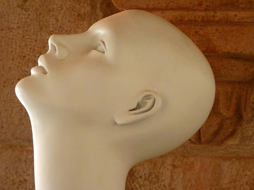 The bald truth: hair loss and workplace harassment, Alexandra Mizzi