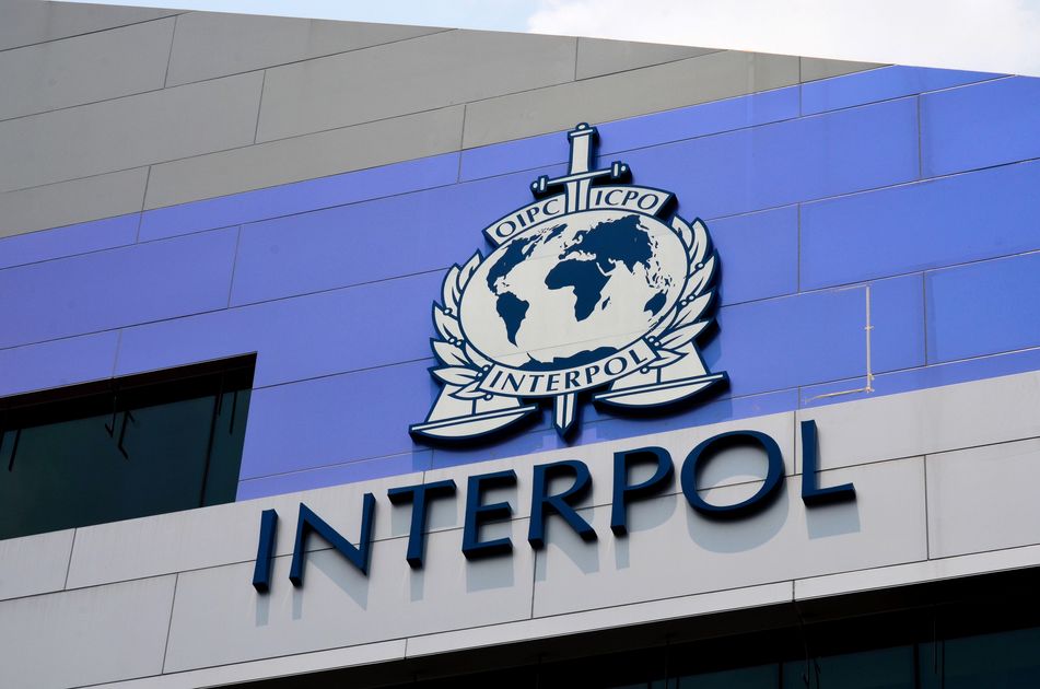 INTERPOL moves forward with Silver Notices, Anthony Hanratty