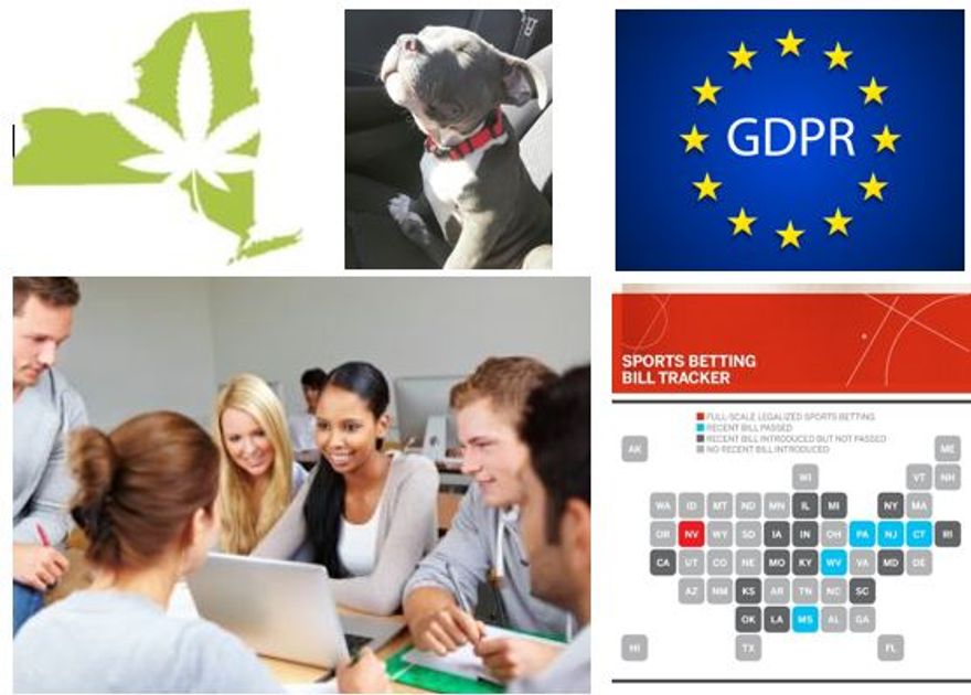 Cheers! Our Top Stories from 2018, Matthew Pelkey