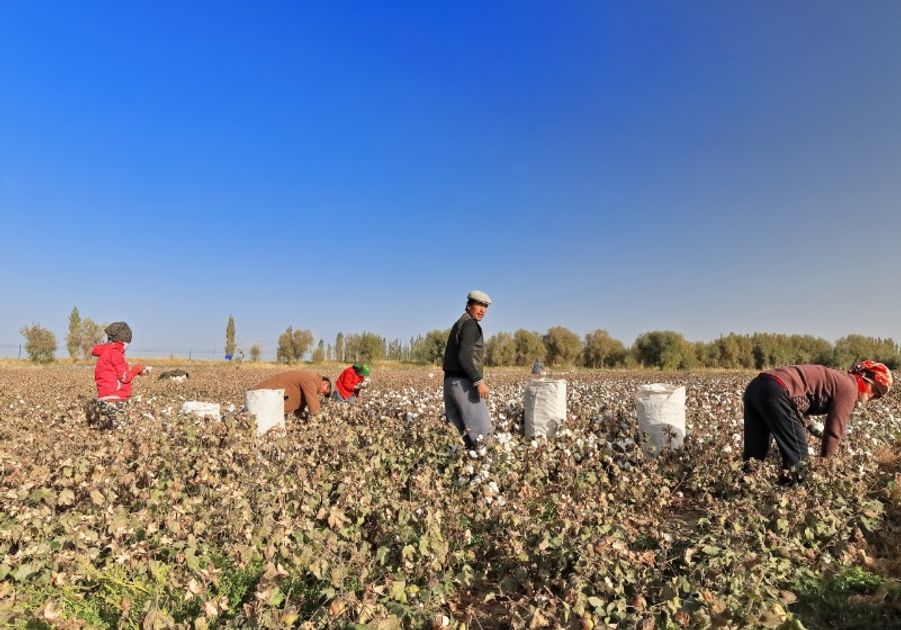 Imports of products (cotton) from countries with forced labour allowed ...