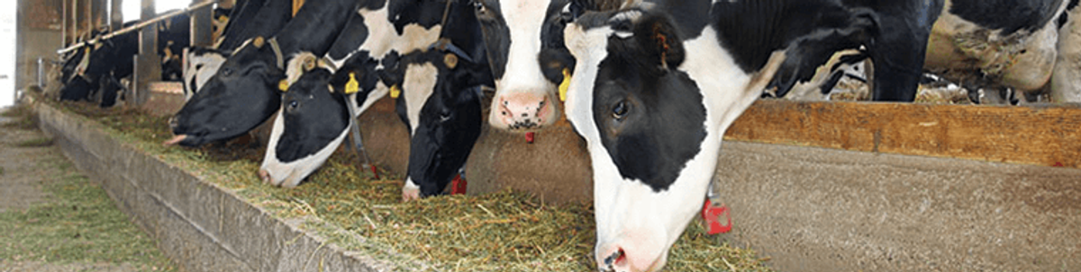 It is not either or, it is about working together to change what is ...