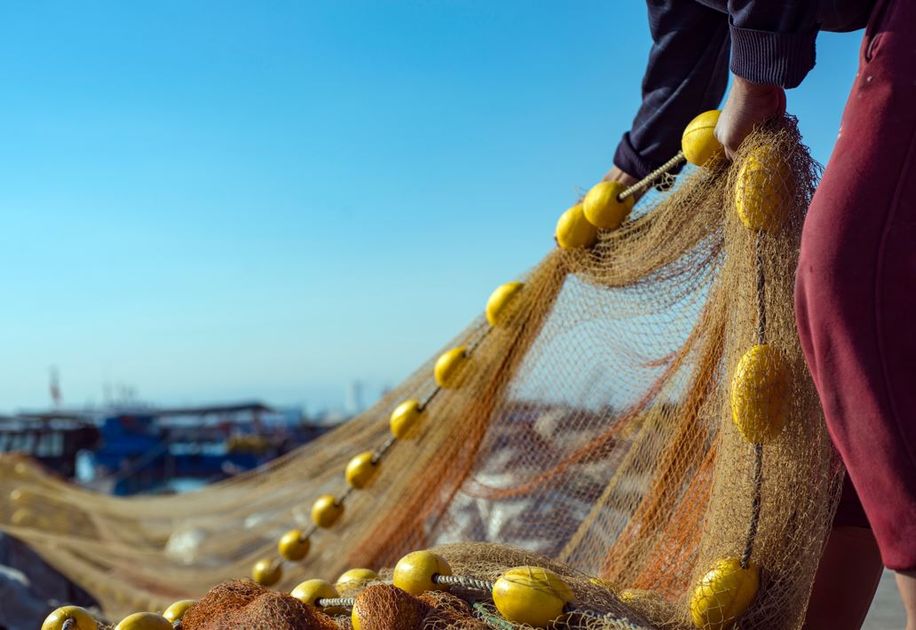 Seafood: we all love it, but at what cost?, Mark Temme