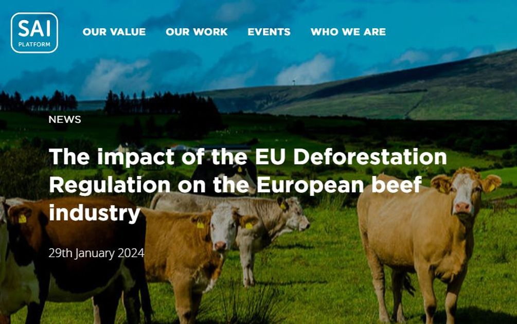 EUDR - Regulation on Deforestation-Free Products, Mark Temme