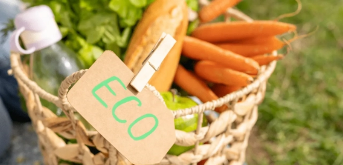 What is an ecological product?, Adriana Duran