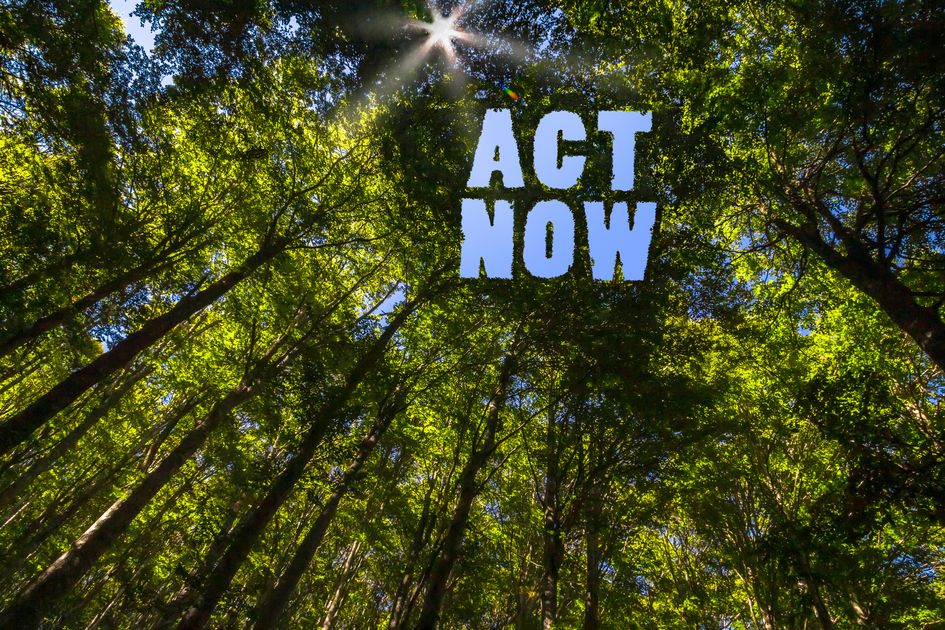 Show me the Money: How serious is Sustainability Reporting being taken ...