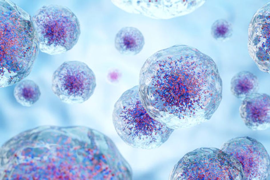 Stembryos: Project launched to provide guidance on research using ...