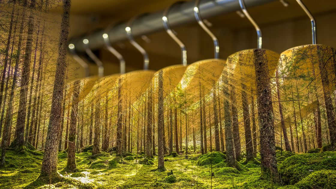 Biologically Engineered Fashion: Legal and Ethical Frontiers