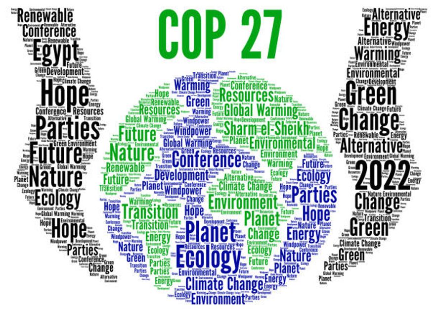 COP27: Week 2 recap and key takeaways, Julia Voskoboinikova, Sara Feijao, Gilly Hutchinson