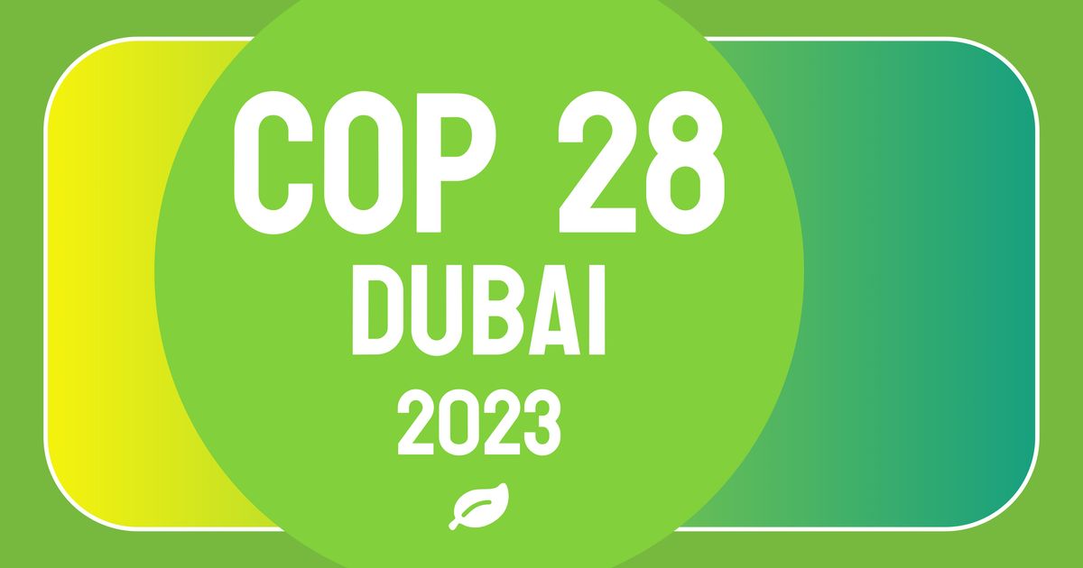 COP28: What to expect, Pietro Candia