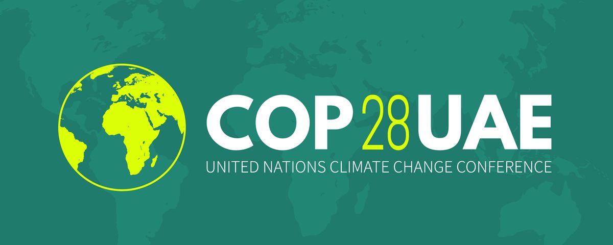 COP28: what was decided and what does it mean in practice for business?, Sara Feijao
