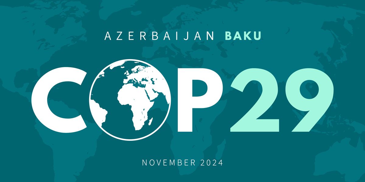 COP29: first results, Gilly Hutchinson, Sara Feijao, Julia Voskoboinikova