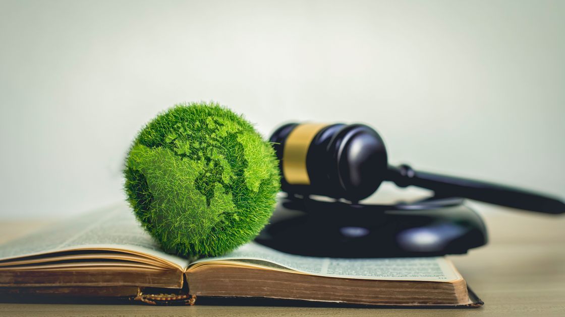 Council of Europe adopts first international convention on protection ...