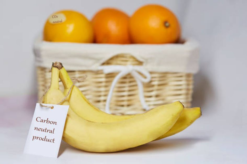 Can you market your product as "sustainable" or "carbon neutral"? Ask ...