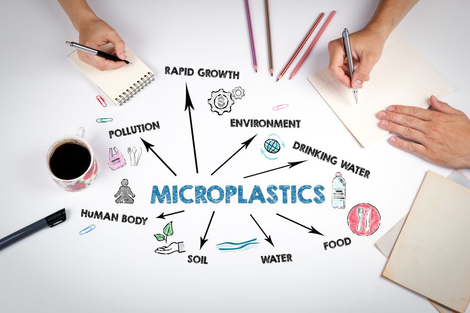 Microplastics and nanoplastics: what are they and what are their risks ...