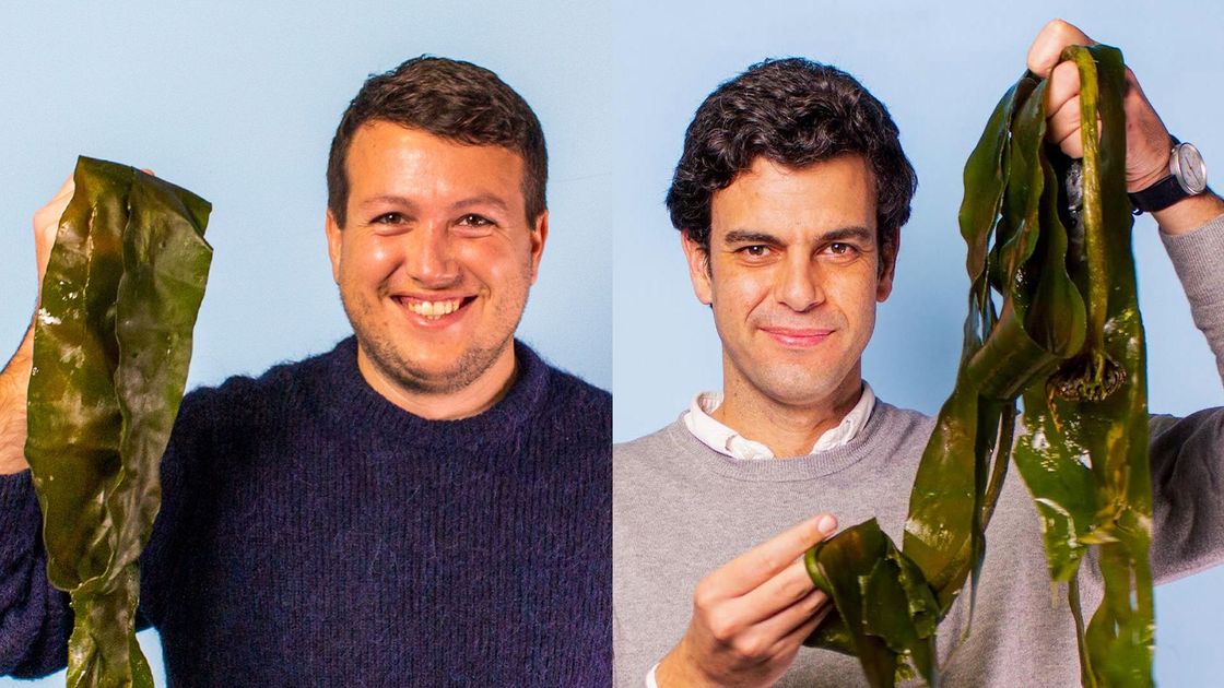 Meet the inventors ‘on a mission to make plastic disappear’ – with ...