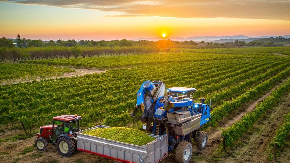 El reto de alimentar a toda la población mundial, Eneko Lacha