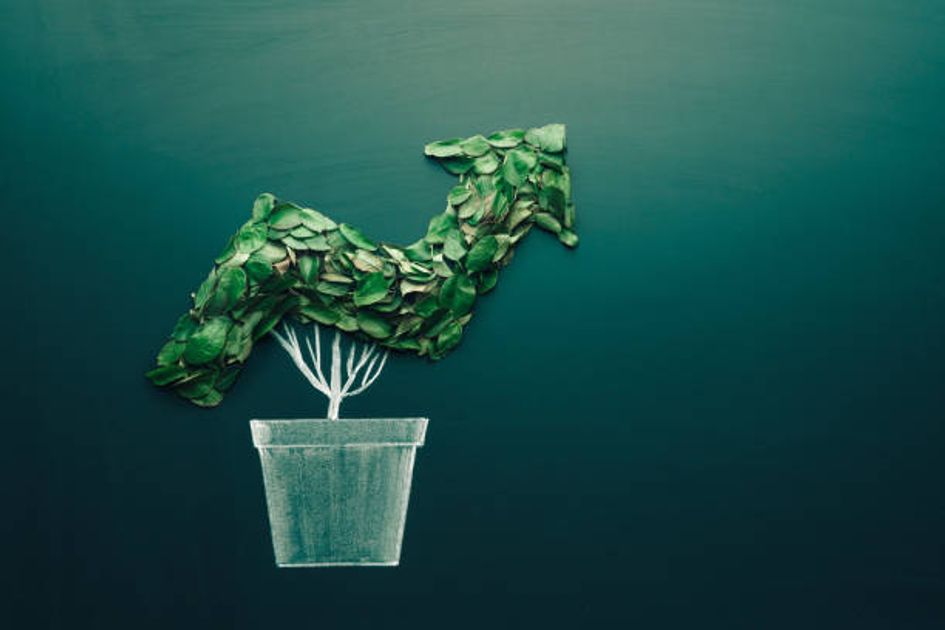 Australia + Sustainable finance, Johnny Sandhu