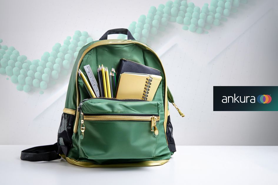 The Cost of Learning: How Inflation and Consumer Sentiment Are ...