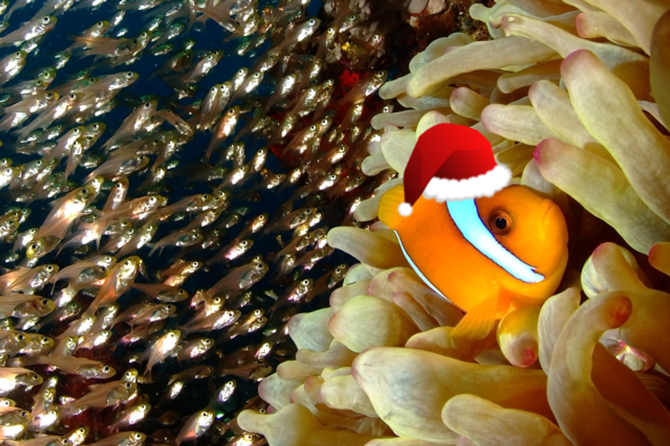Twelve Days of Consumer Duty #3: the meaning of “material influence ...