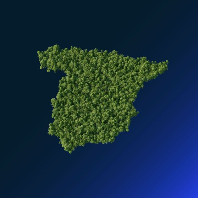 Will Spain become the leader for talent in renewable energy?, David ...