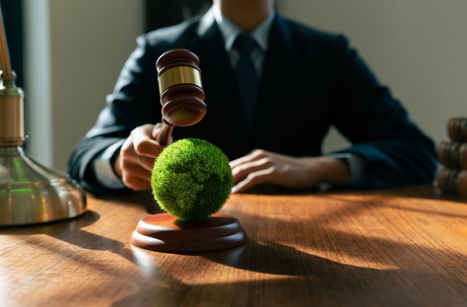 Launch of new Appeals and Grievance Procedure under Article 6.4 of the ...