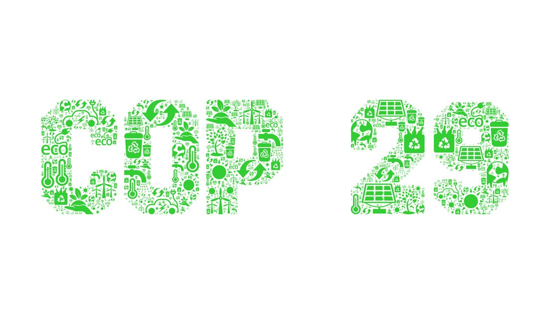 COP29: Did The ‘Finance Cop’ Find Its Feet, And What Progress Was Made ...