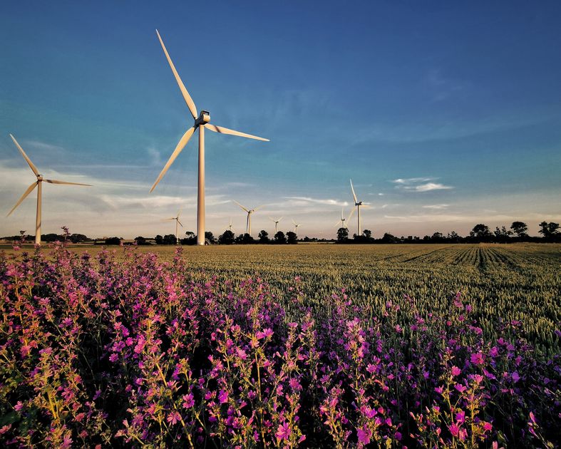 Omnibus Updates: Council and Parliament respond to the Commission’s ...