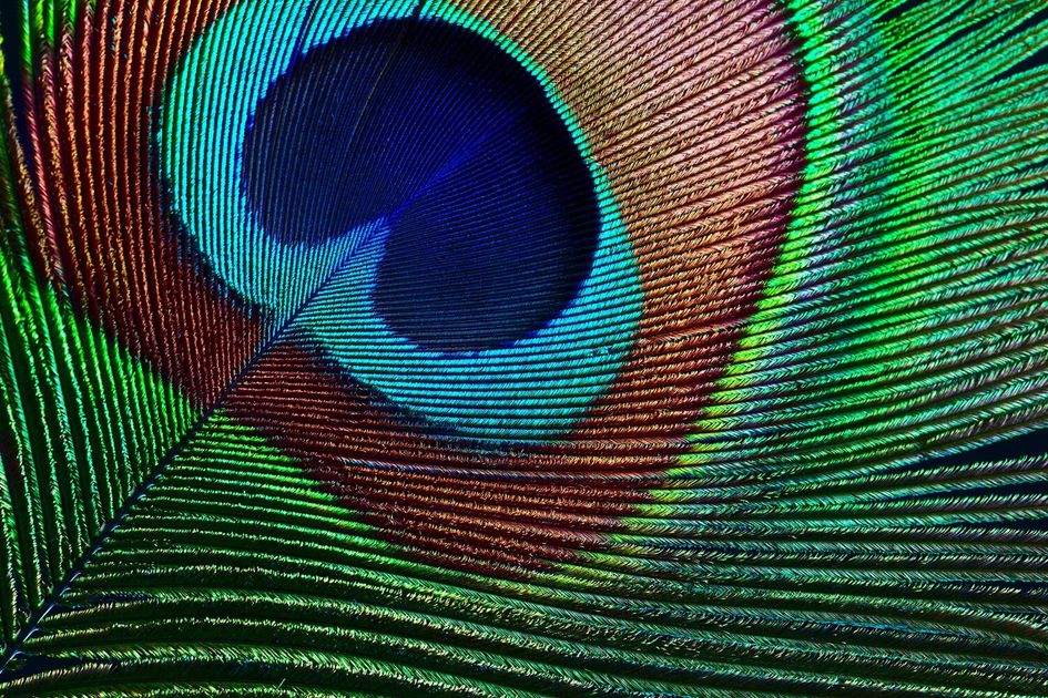 Australian High court injects some clarity on the relevance of ...