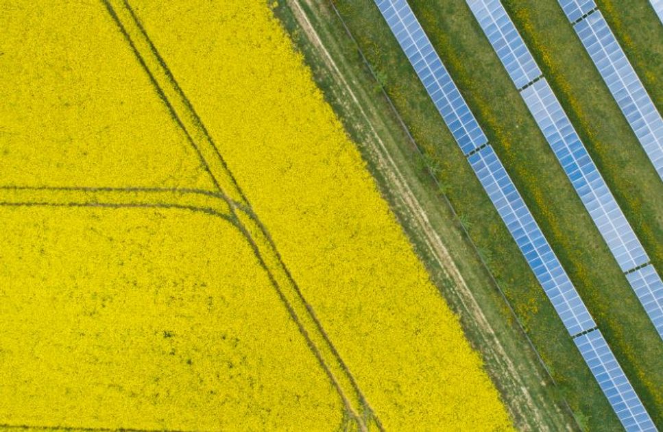 Netherlands: Guidance on sustainability agreements by ACM: What else ...