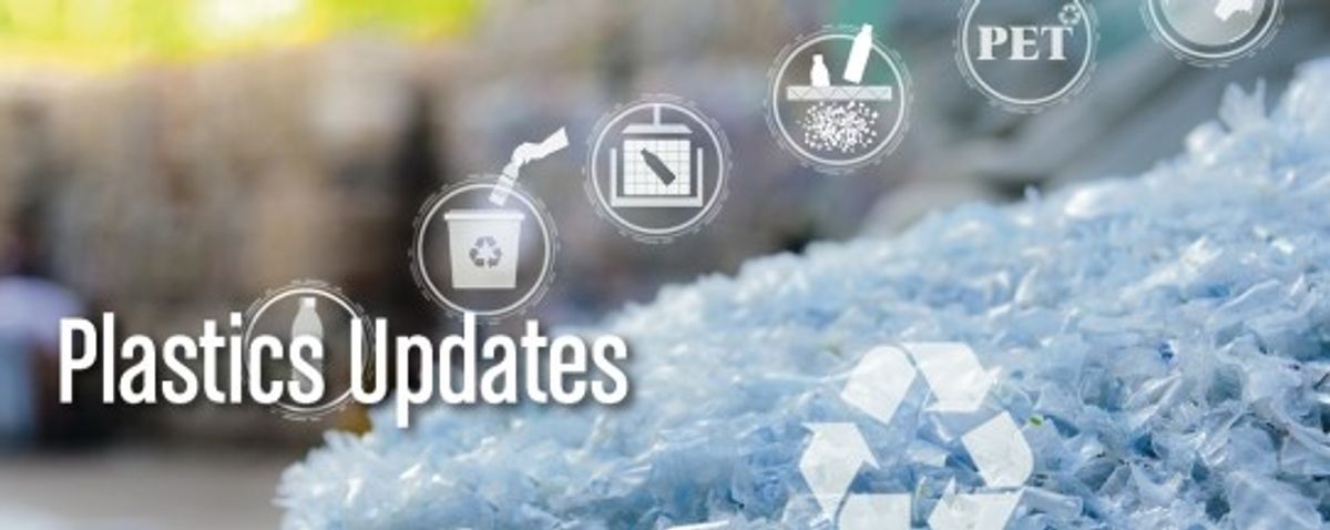 Plastics Updates - February 2026, David Kiernan, Emily Goldberg Knox ...
