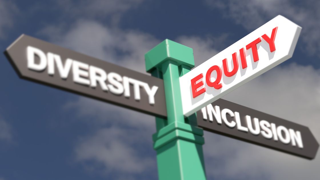 Pressures on DEI Initiatives Lead Public Companies to Revise Risk ...