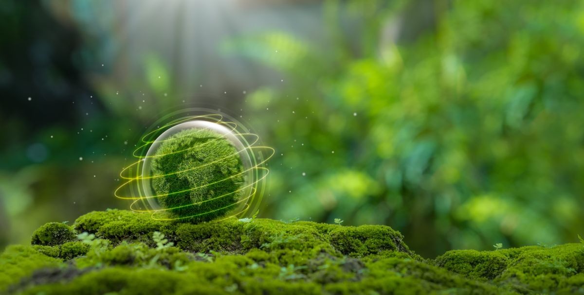 Legal Questions for Your Sustainability Team #4, Chuck Wehland, Olga ...